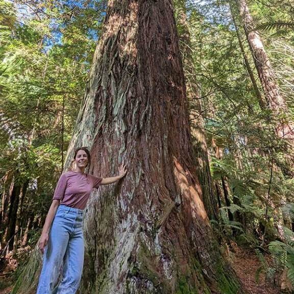 About Fine Tours New Zealand | Touring & Vacation Experts