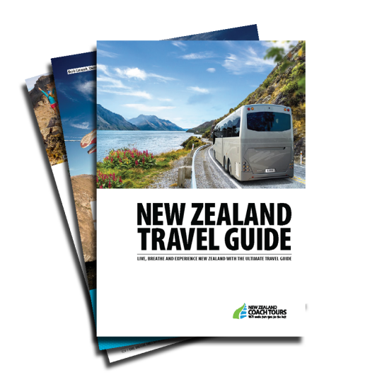 New Zealand Travel Guide