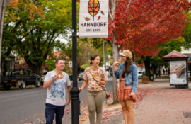 The Indian Pacific Rail, Coast & Vines Tour | Australia Train