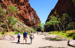 The Ghan Expedition Darwin to Adelaide Tour | Australia
