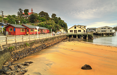 16 Day Self drive Southern Coast & Stewart Island Tour