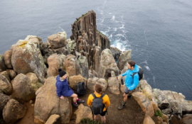 Three Capes Signature Walk | Tasmanian Walking Co